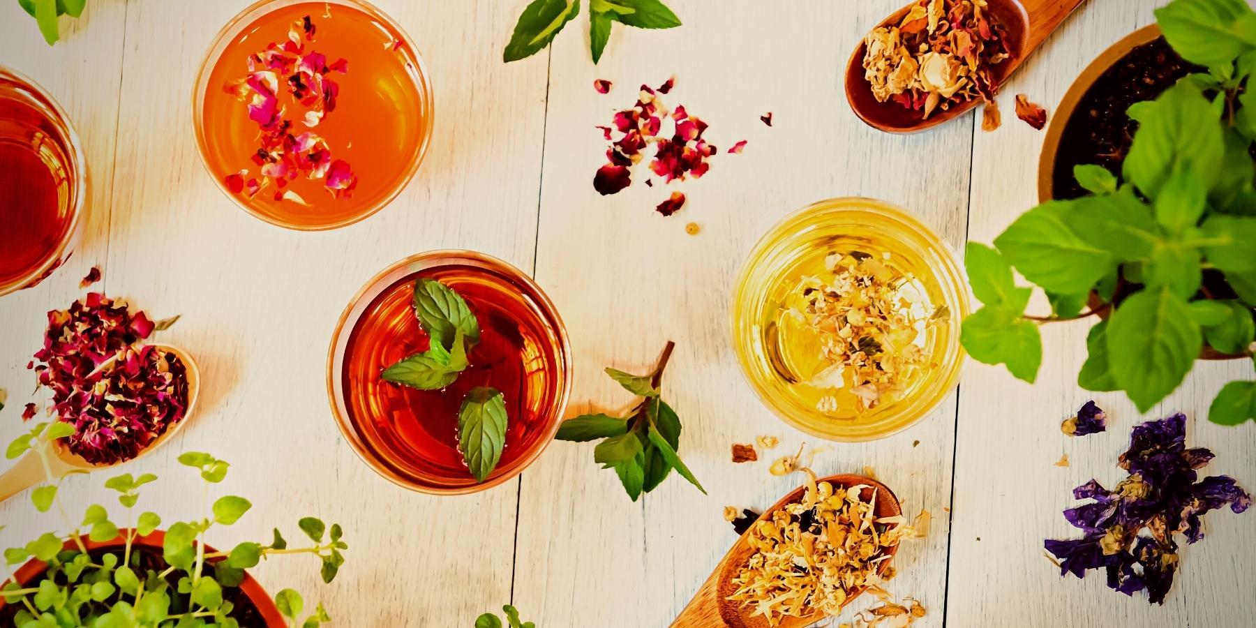 What Are Botanicals In Drinks—The Mixer UK