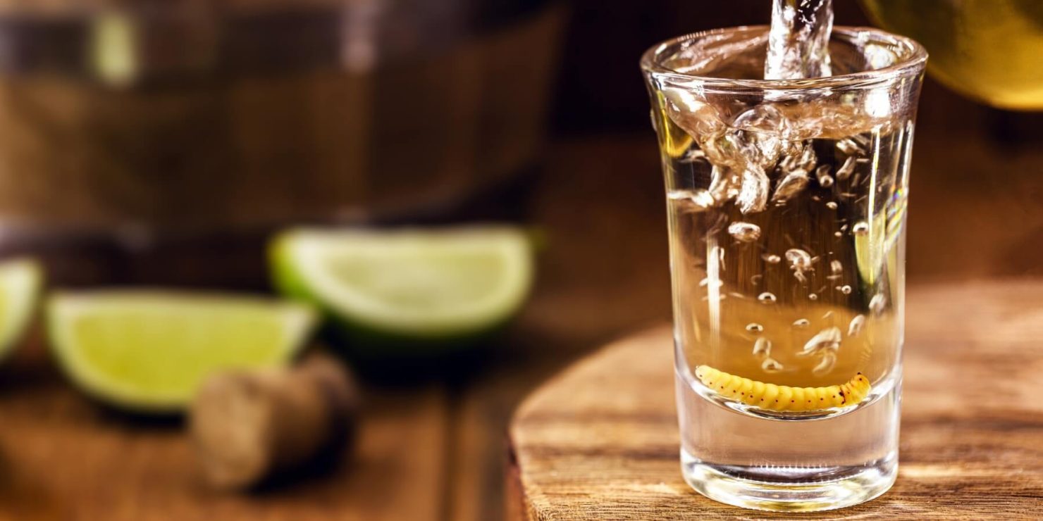 Tequila Worm – Myths, Facts & the Story Behind It