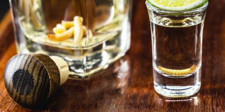 Tequila Worm – Myths, Facts & the Story Behind It