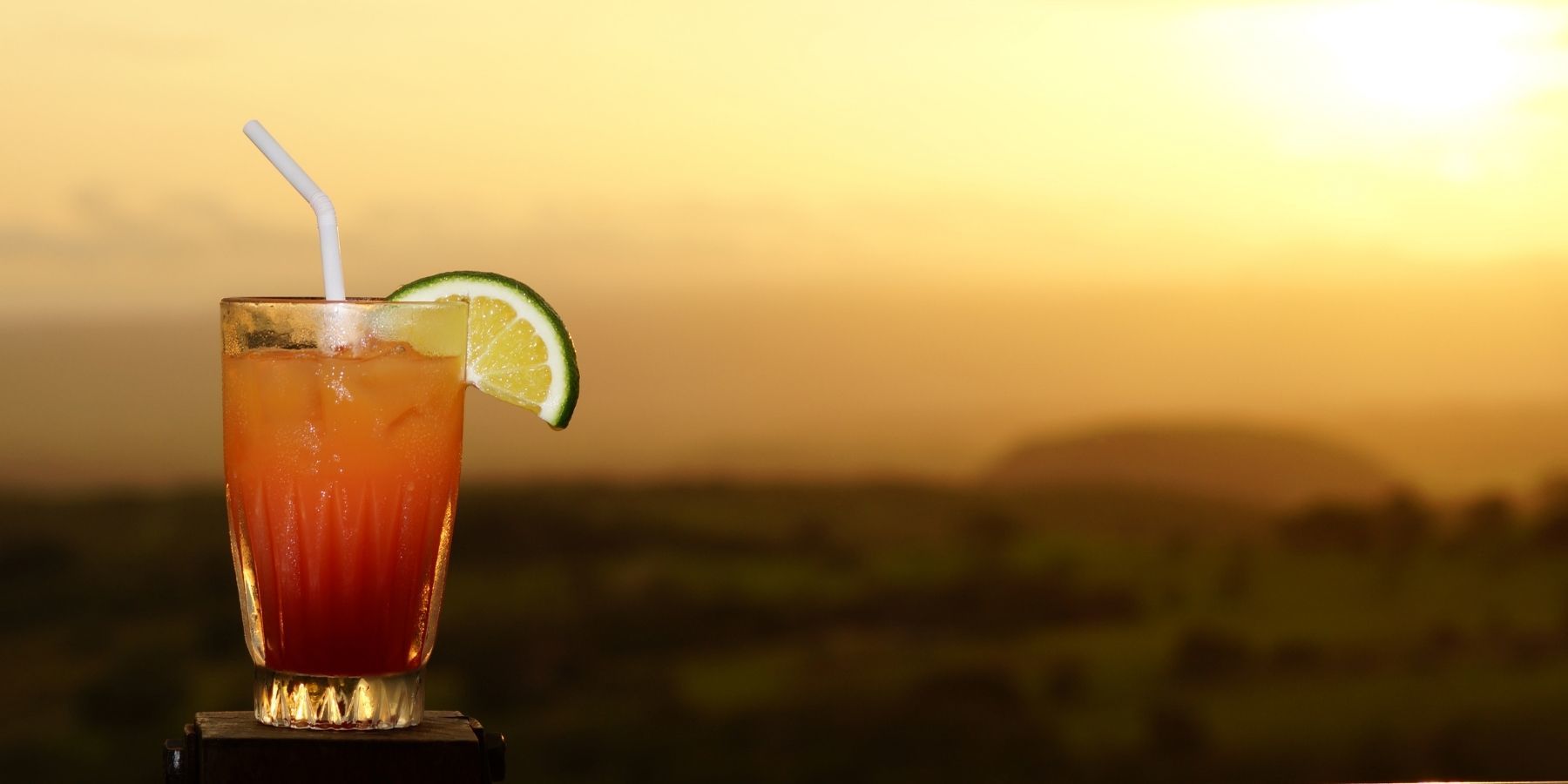 22 Orange Juice Cocktails to Make – The Mixer (2025)