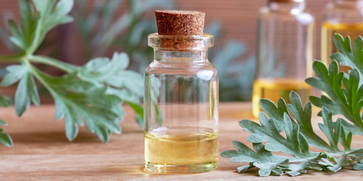 What is Vermouth? - Learn With The Mixer