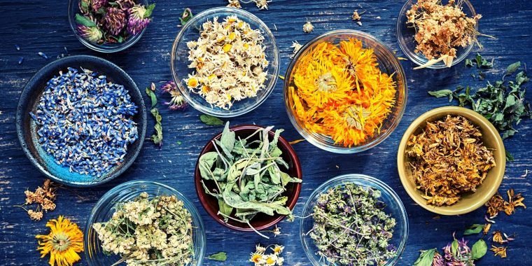 What Are Botanicals In Drinks — The Mixer Explains
