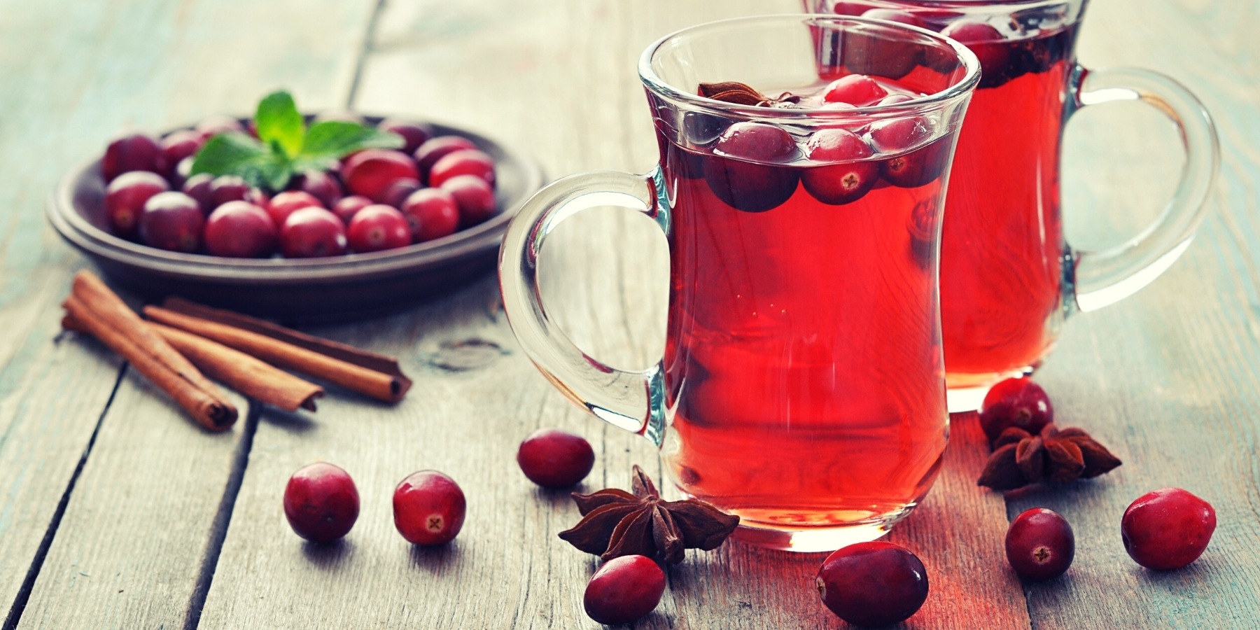 16 Christmas Mocktail Recipes for the Holidays
