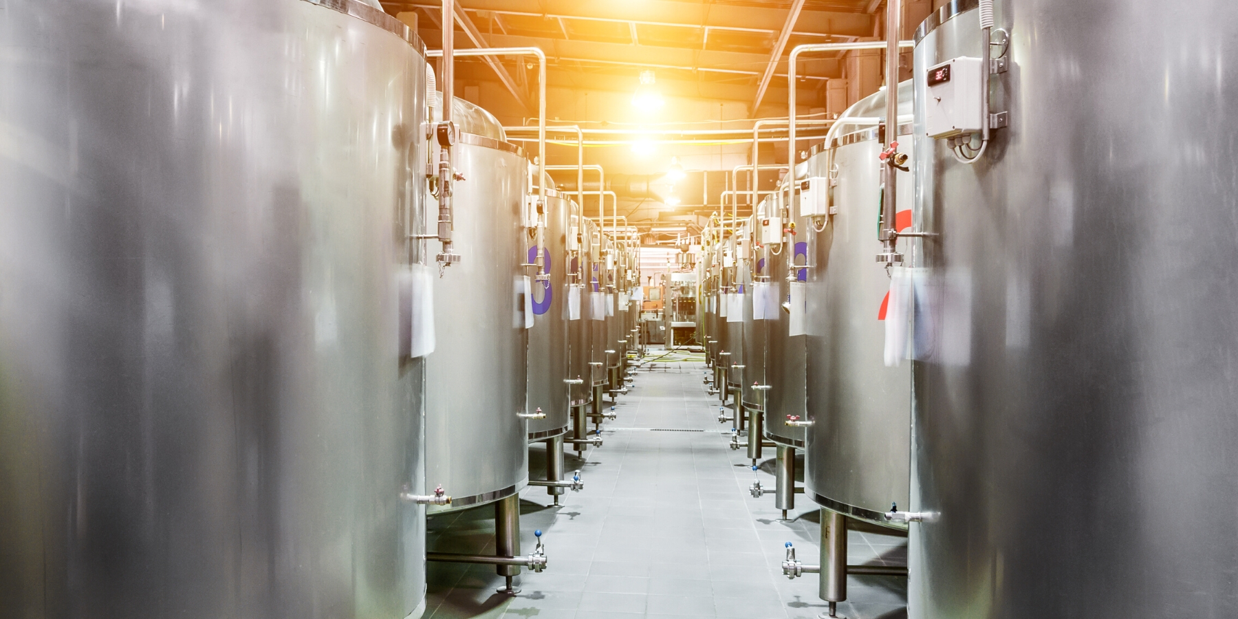 Fermented Cocktails: Why are they Popular?