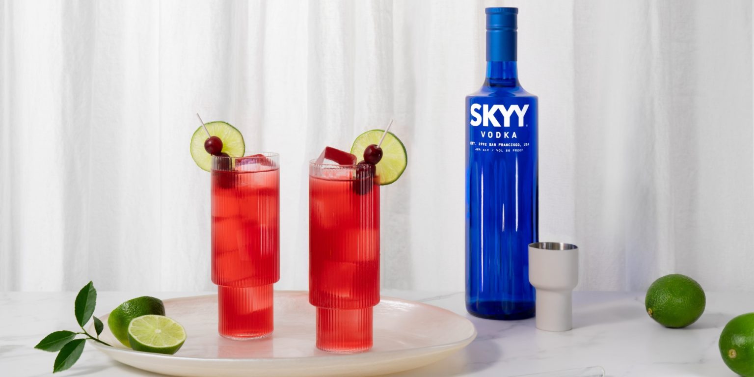 12 SKYY Vodka Cocktails to Sip This Summer