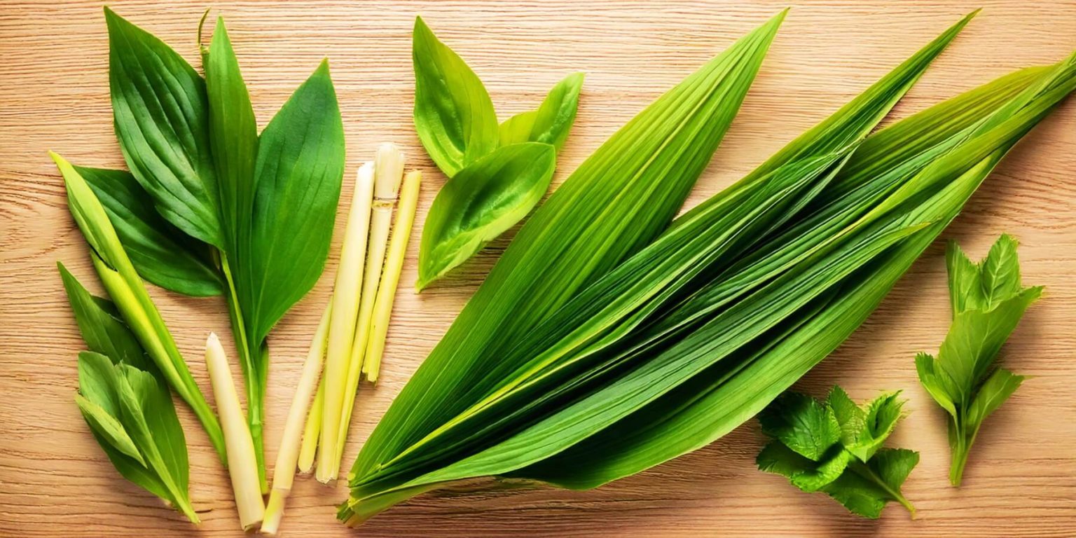 Pandan Cocktails: 10 Trendy Recipes to Taste Now