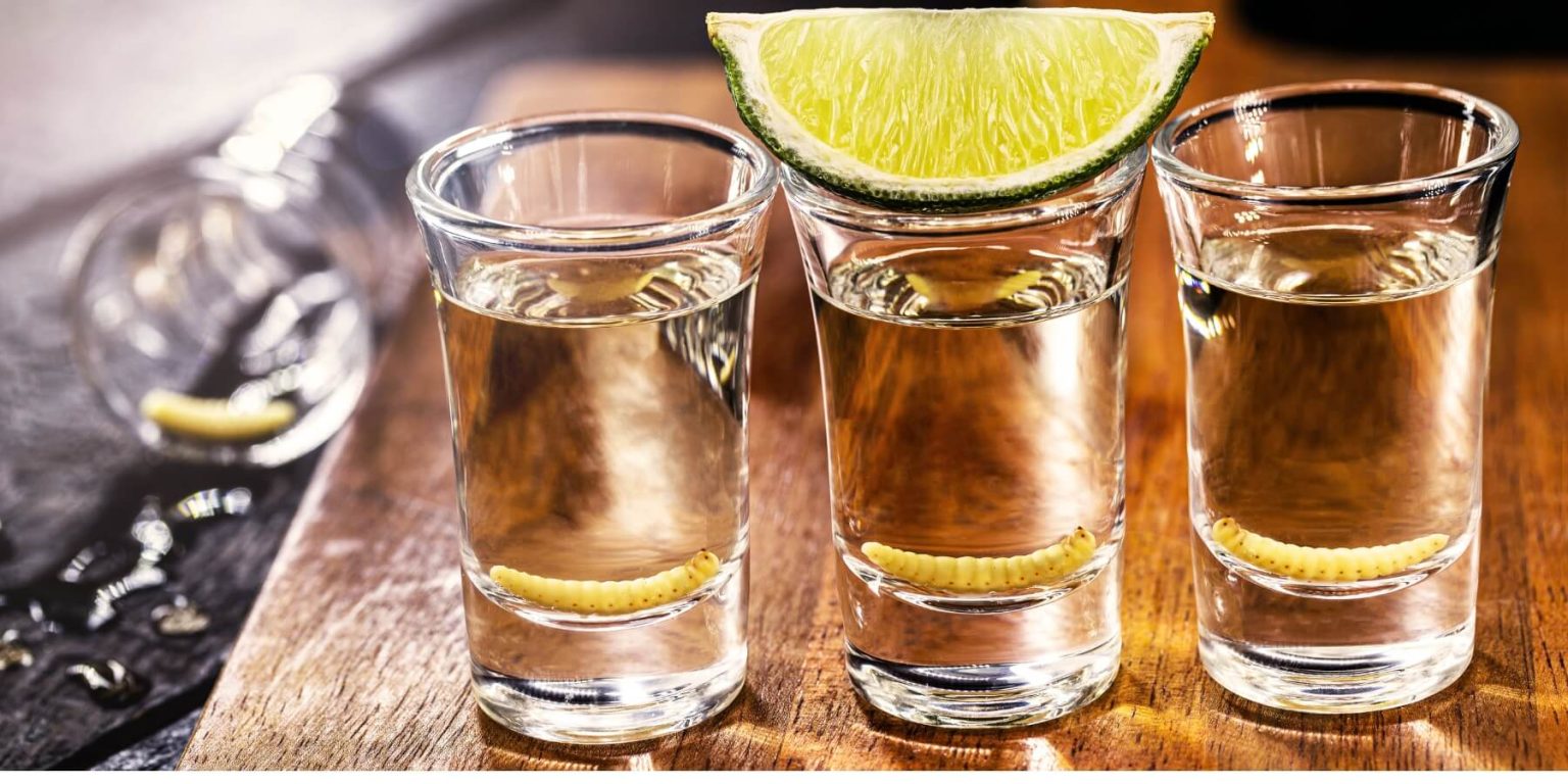 Tequila Worm Myth: The Truth About Worms in Bottles of Mezcal