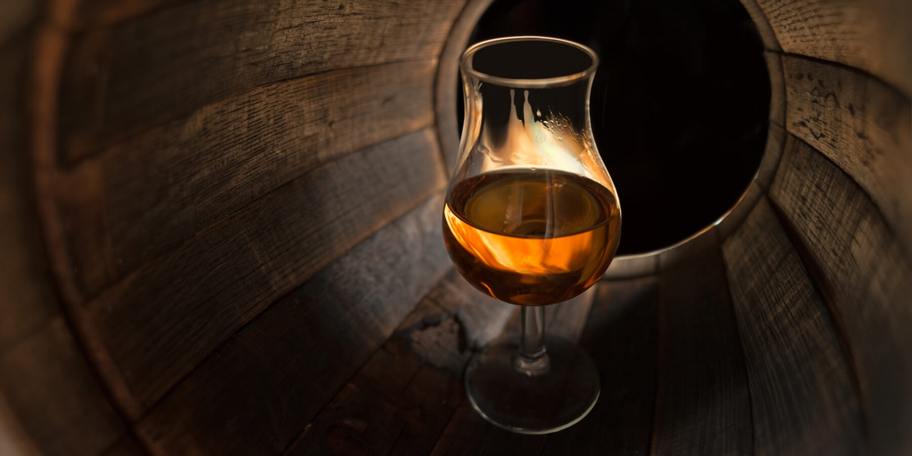 Types of Brandy Explained: From Cognac to Fruit Brandy
