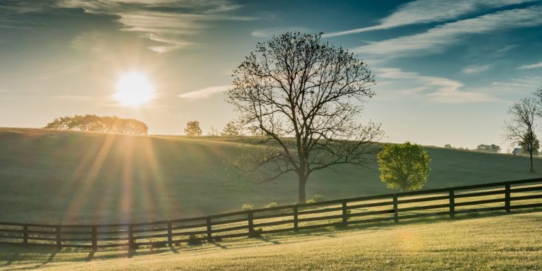 Kentucky Bourbon Trail: Ultimate Travel & Tasting Guide